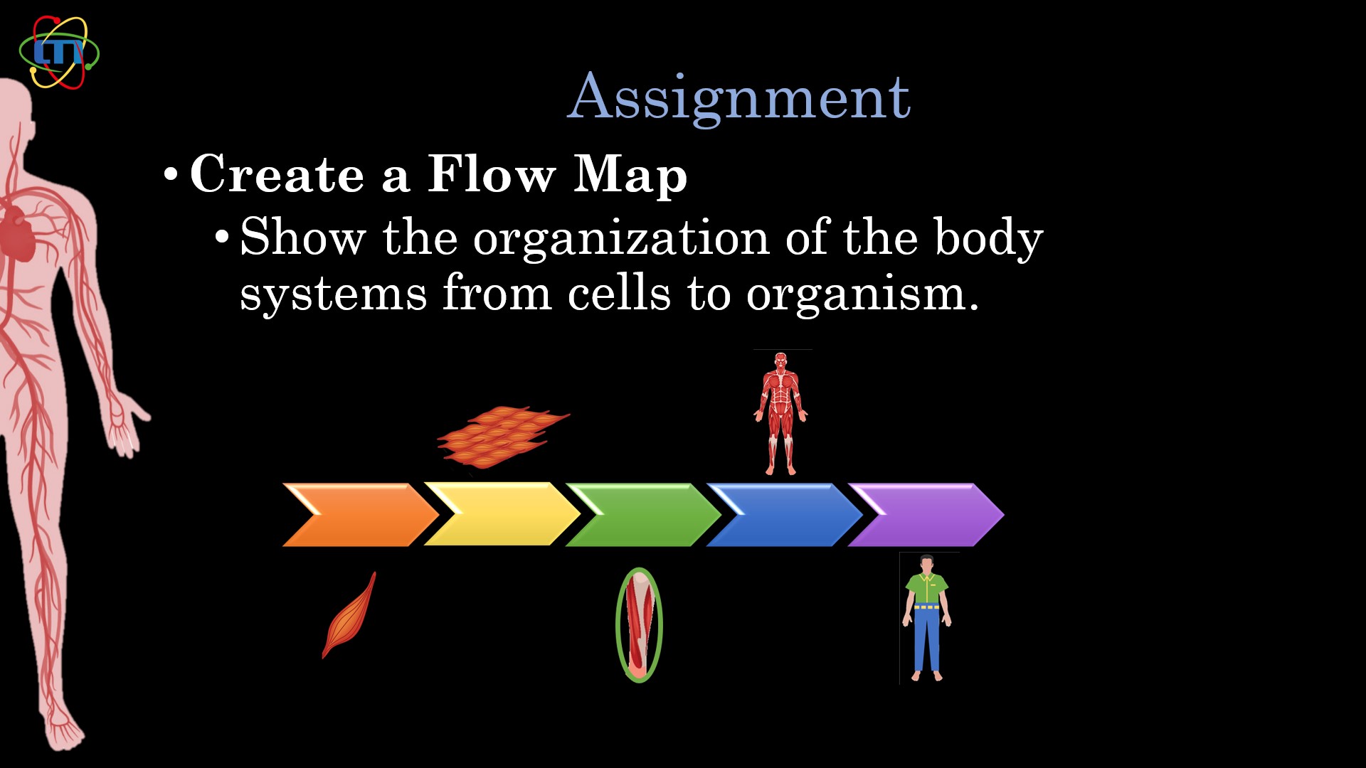 Unit: Cells to Systems - Curriculum That Matters